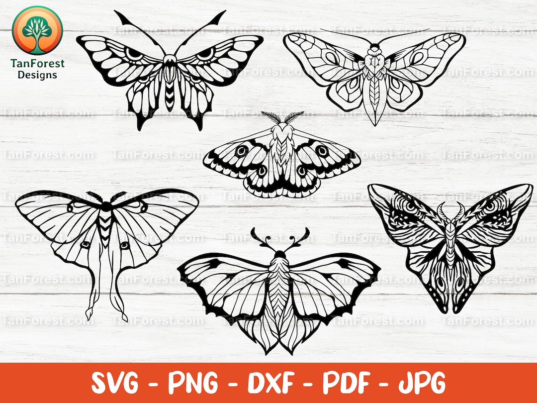 Moth SVG Bundle, Celestial Insect Cut Files (digital Download) - Etsy