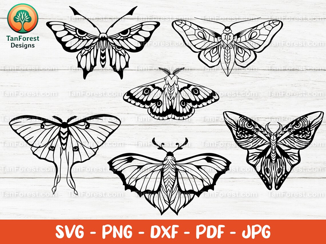 Moth SVG Bundle Insect Svg Moth Clipart Celestial Moth Svg - Etsy