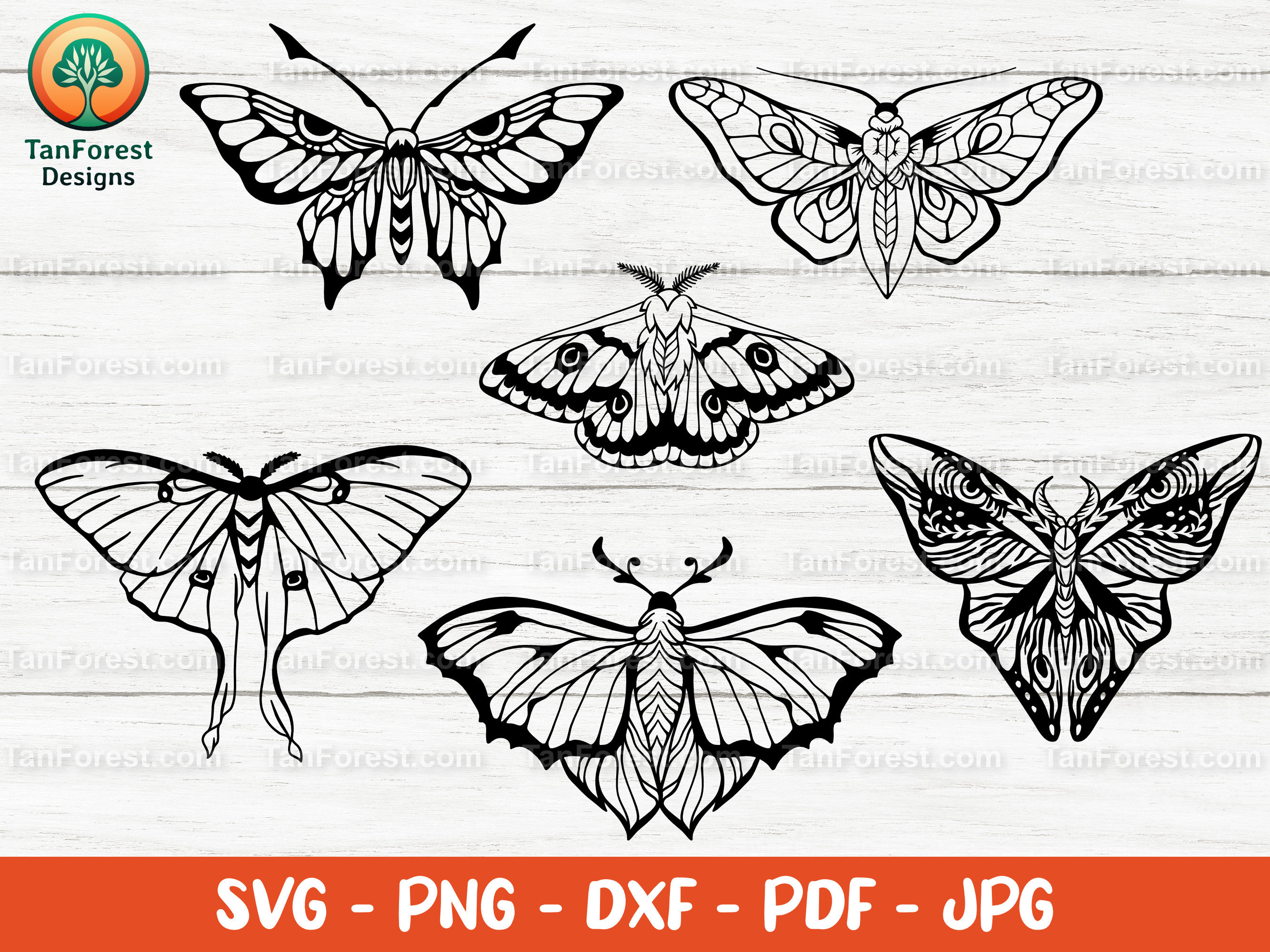 Moth SVG Bundle, Insect Svg, Moth Clipart, Celestial Moth Svg, Boho ...