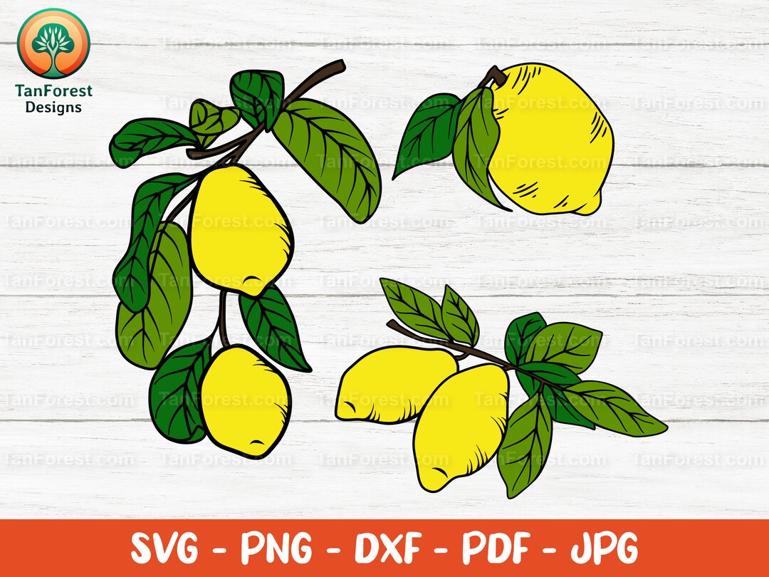 Lemon Svg Layered & Outline. Lemon Branch Svg. Lemon Tree Svg. Hand ...