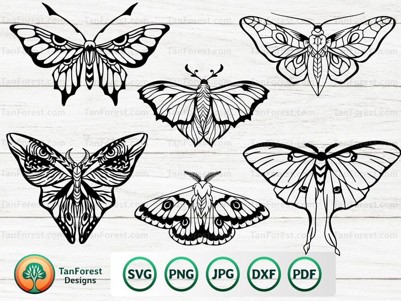 Moth SVG Bundle Insect Svg Moth Clipart Celestial Moth Svg - Etsy UK