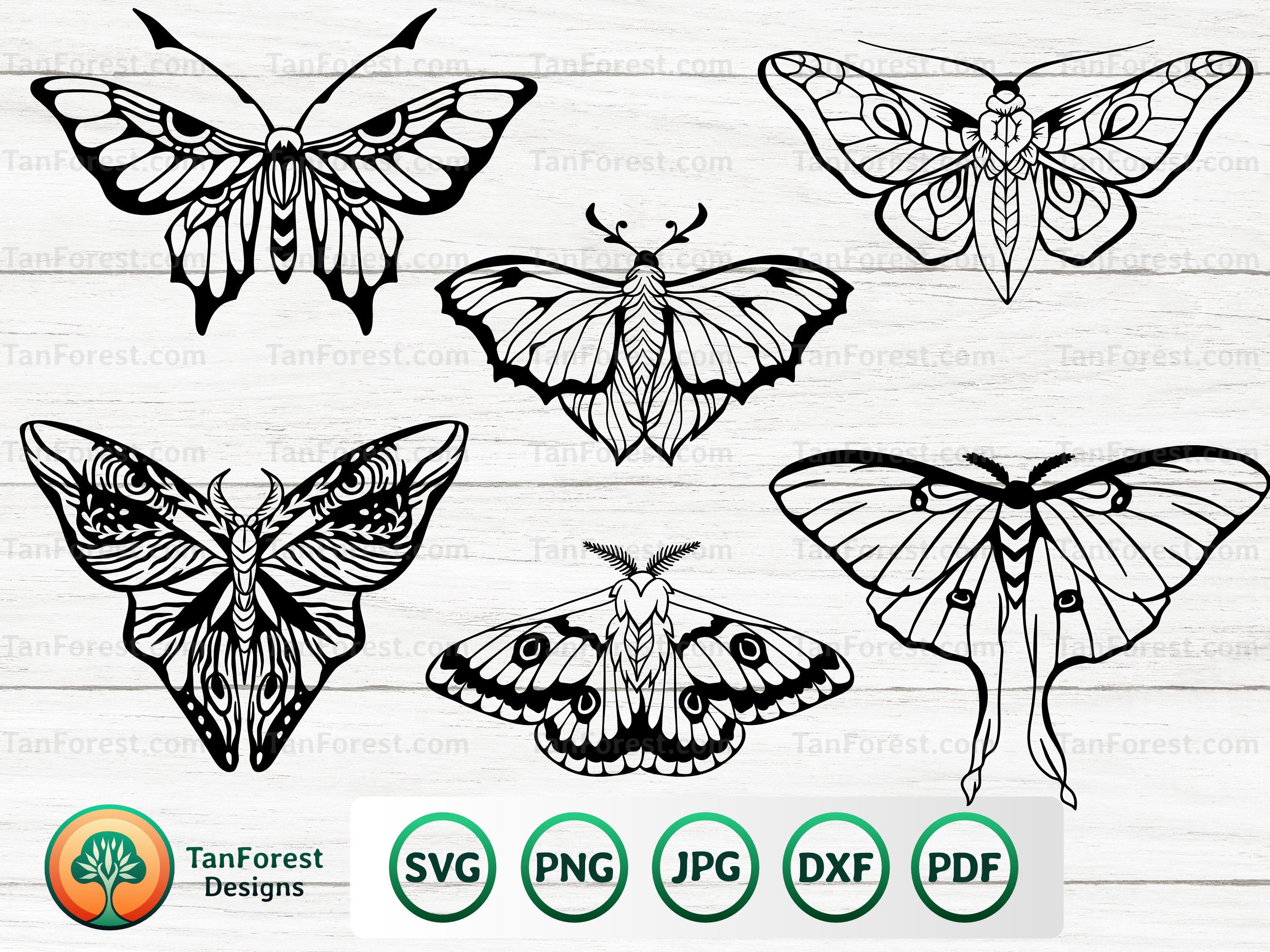 Moth SVG Bundle Insect Svg Moth Clipart Celestial Moth Svg - Etsy UK