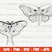 Moth SVG Bundle, Insect Svg, Moth Clipart, Celestial Moth Svg, Boho ...