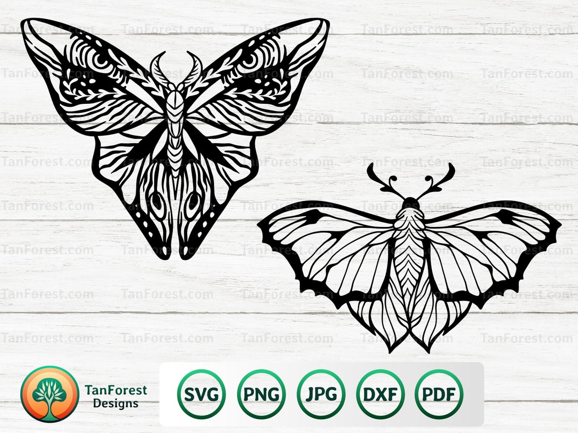 Moth SVG Bundle Insect Svg Moth Clipart Celestial Moth Svg - Etsy UK