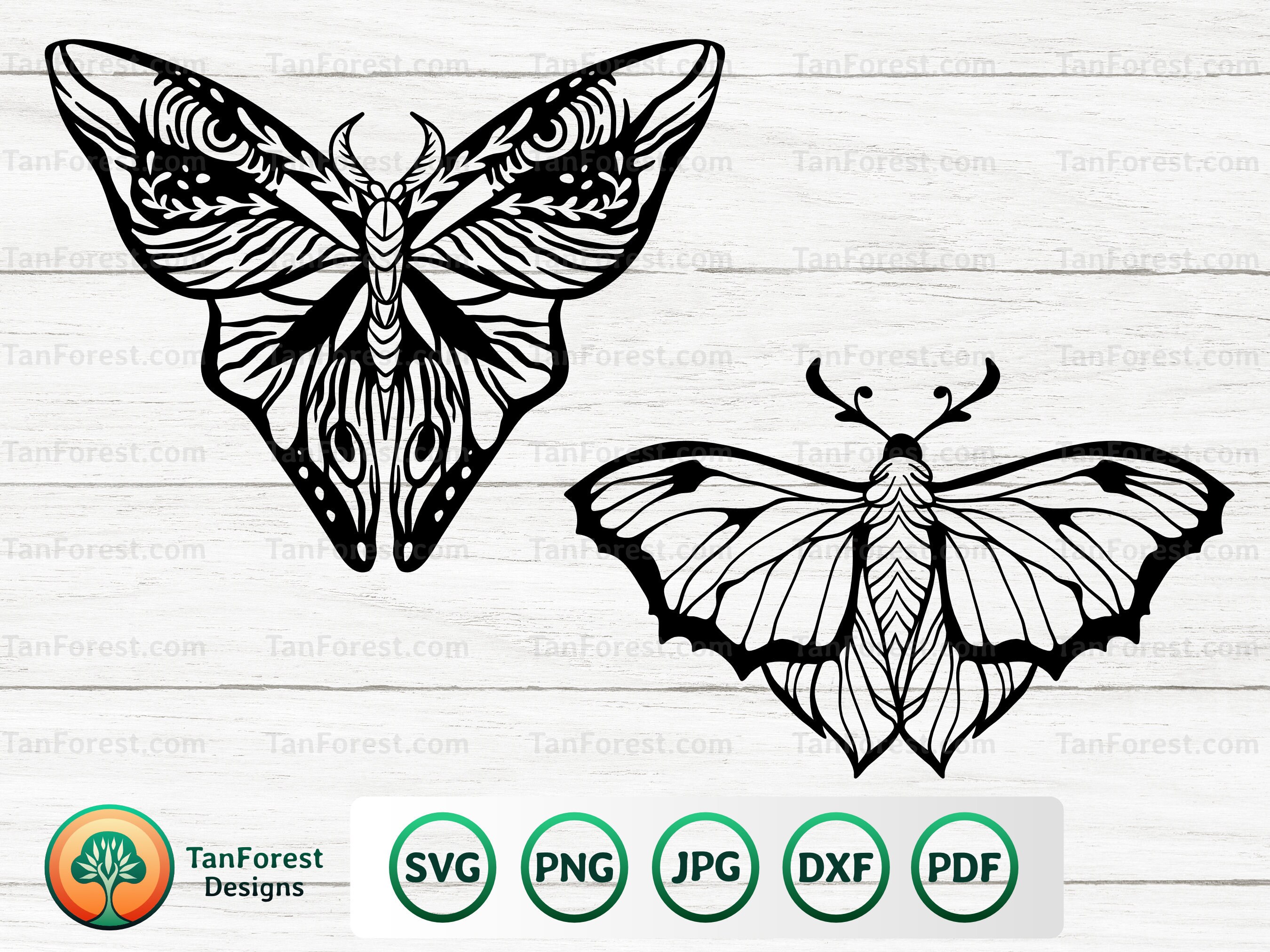 Moth SVG Bundle Insect Svg Moth Clipart Celestial Moth Svg - Etsy UK