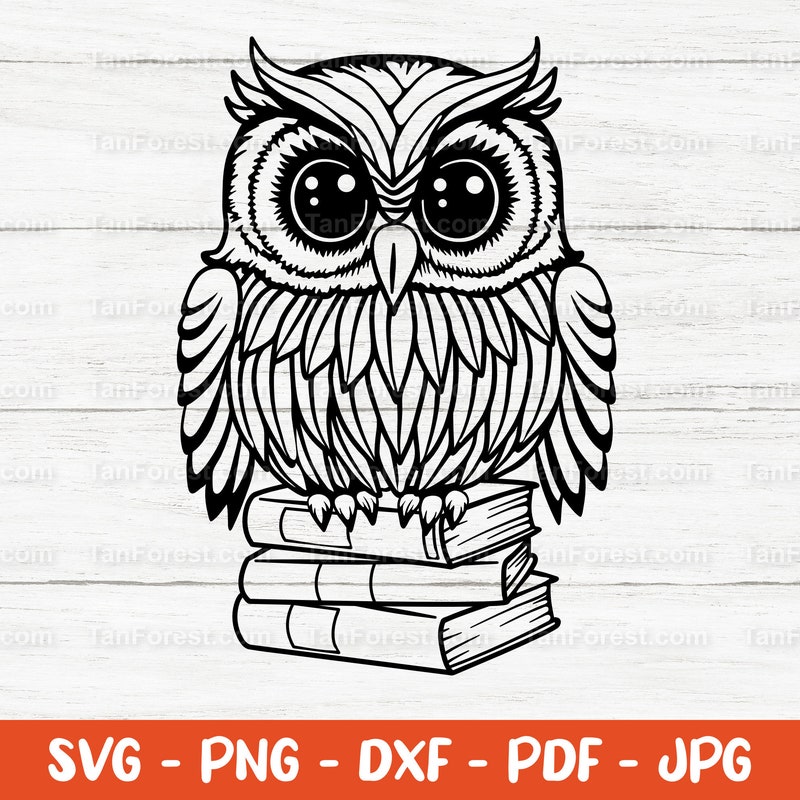 Wise Owl Clip Art - Etsy