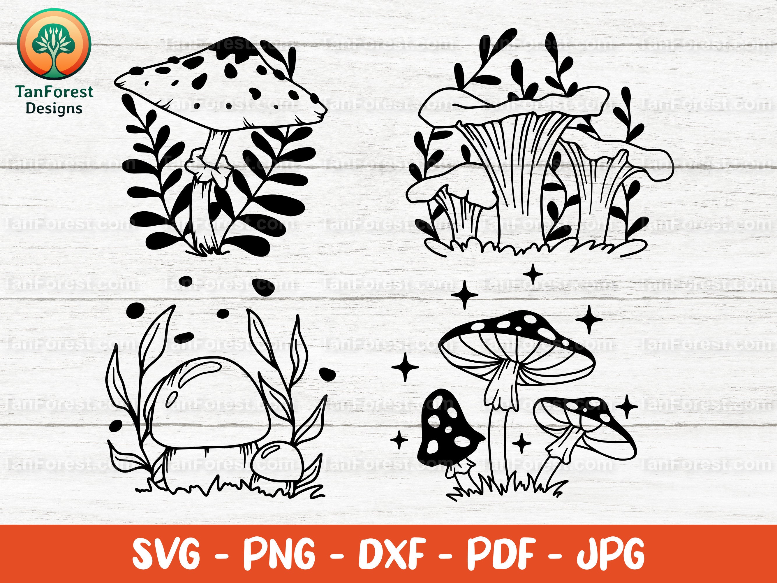 Forest Mushroom SVG. Mushroom Clipart. Boletus, Chanterelle, Parasol ...