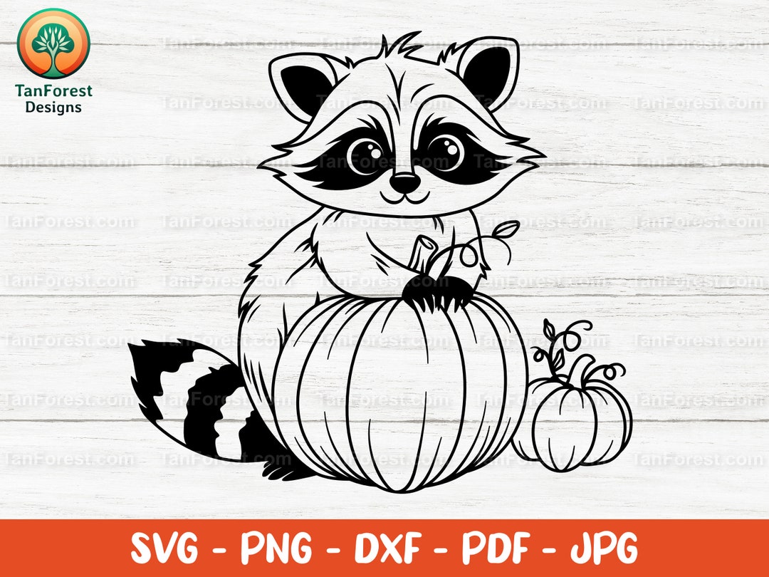 Cute Raccoon and Pumpkin SVG Outline Cut File. Fall Vector Design ...