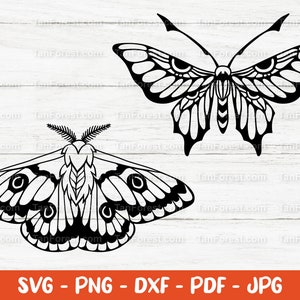 Moth SVG Bundle, Insect Svg, Moth Clipart, Celestial Moth Svg, Boho ...