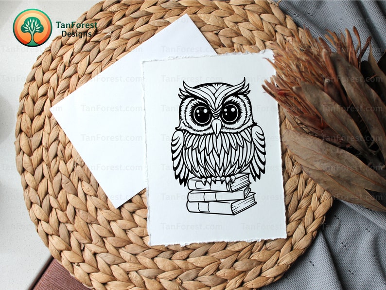 Owl Svg Bird Svg Outline Svg Cute Owl on Books Svg Owl - Etsy Australia