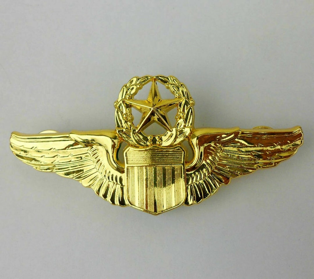 WW2 USAF Aircraft Commander Pilot Badge - Etsy
