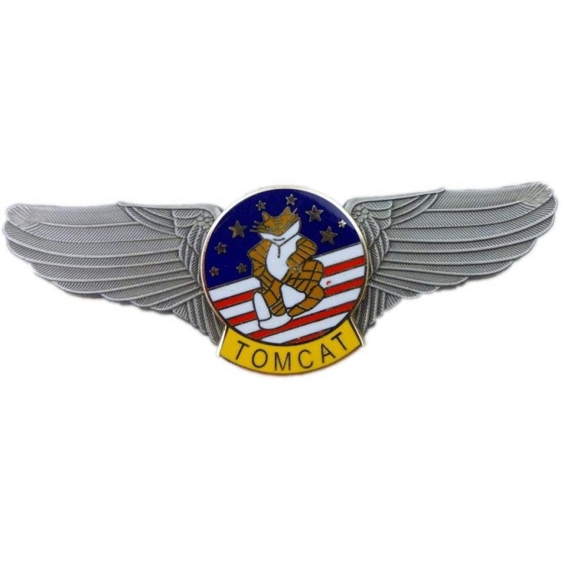 US WW2 F-14 Tomcat Air Force Wings - Etsy