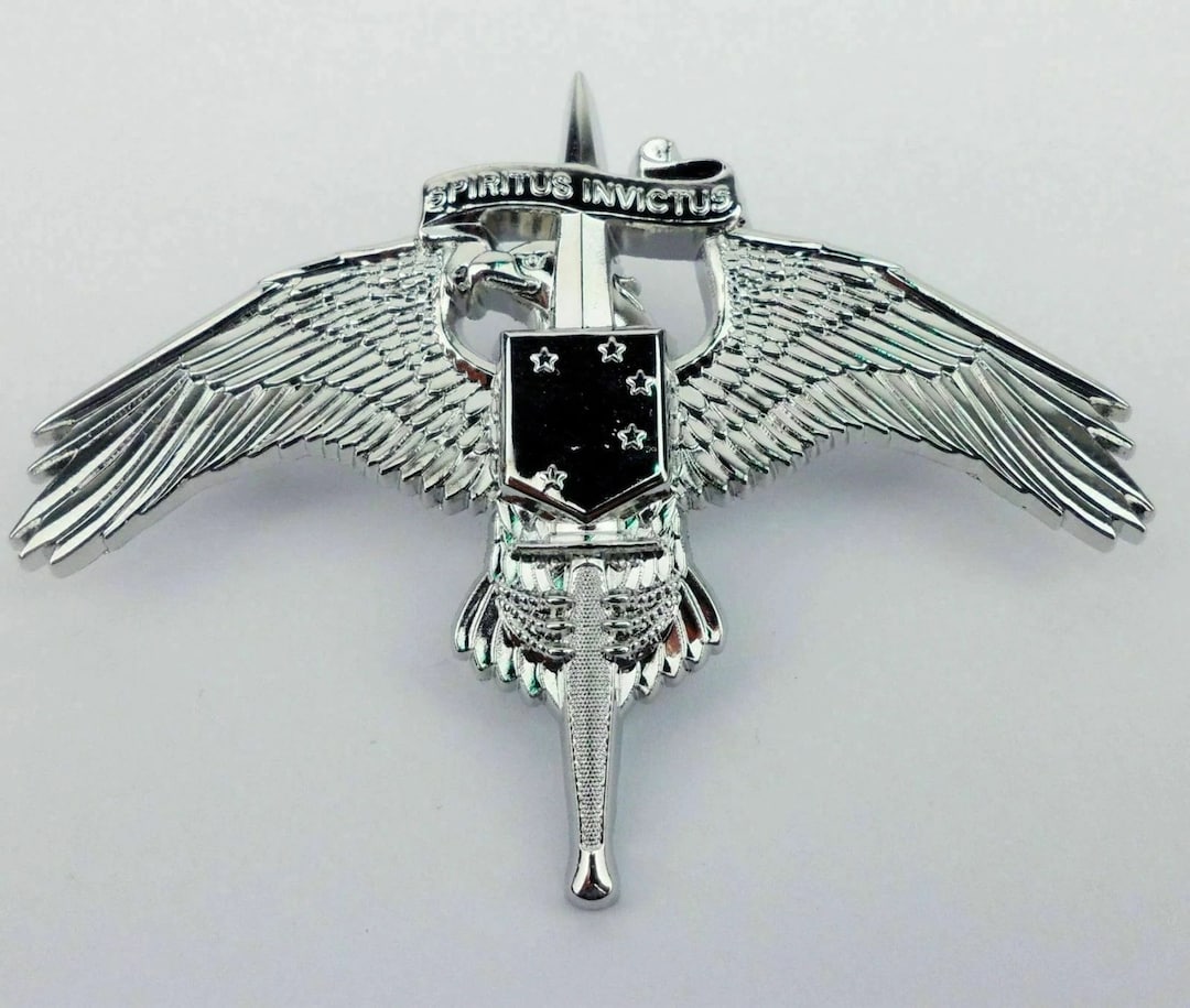 USMC Raider Silver Badge - Etsy