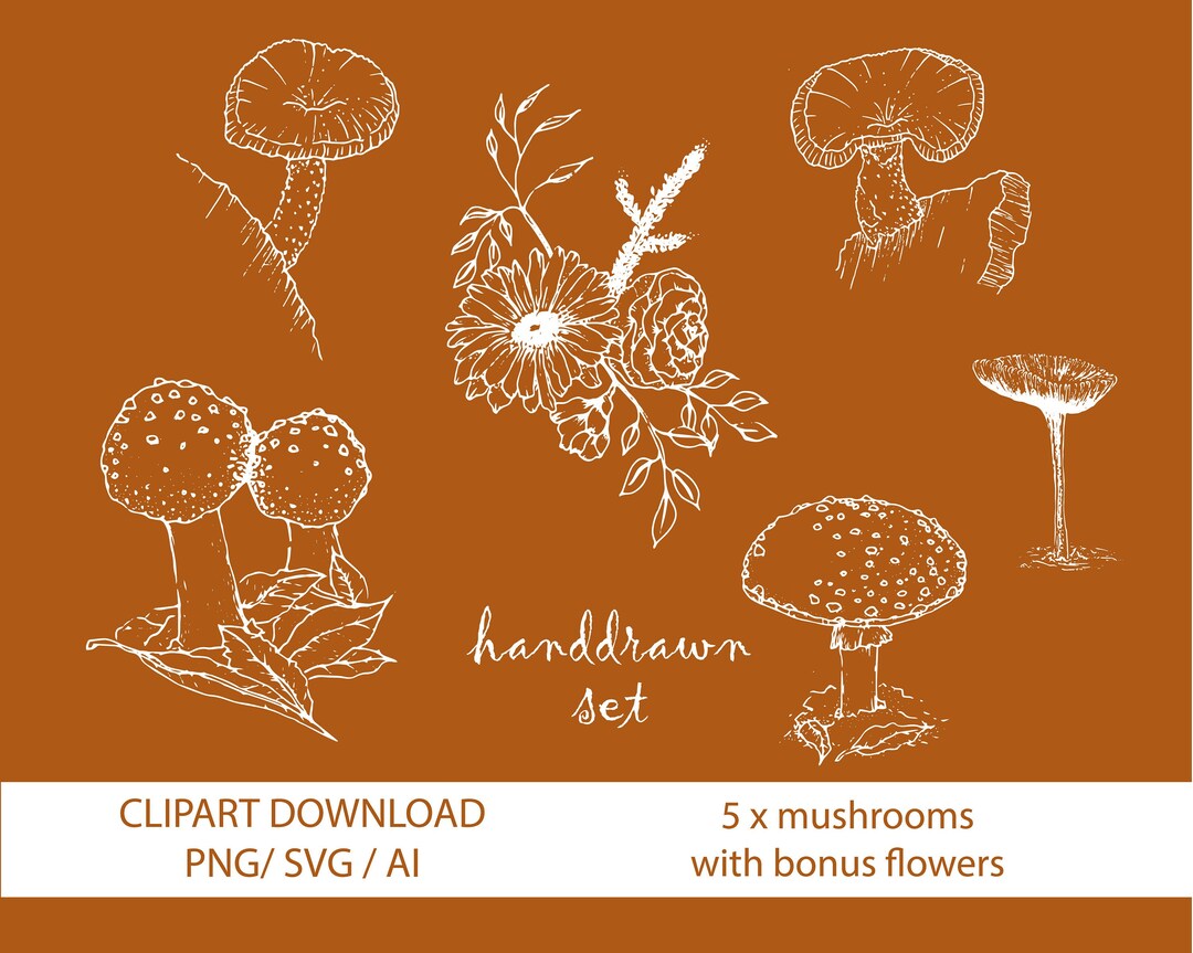 Autumn Mushrooms Clipart Bundle Vector Instant Download Botanical ...