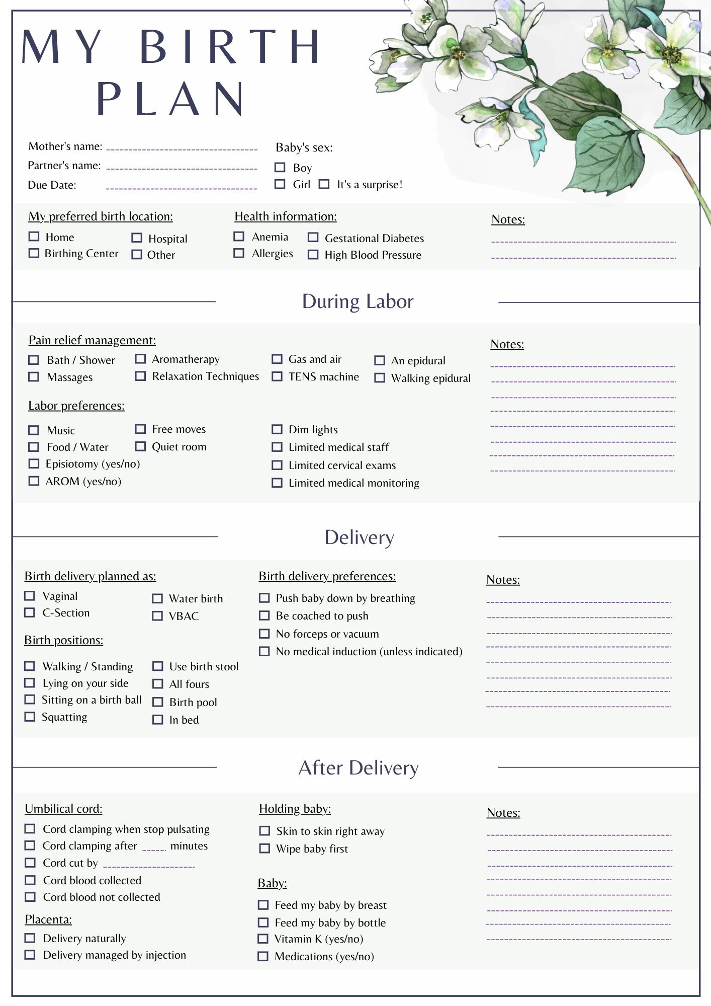 Birth Preferences Checklist Printable Editable Doula Birth Plan ...