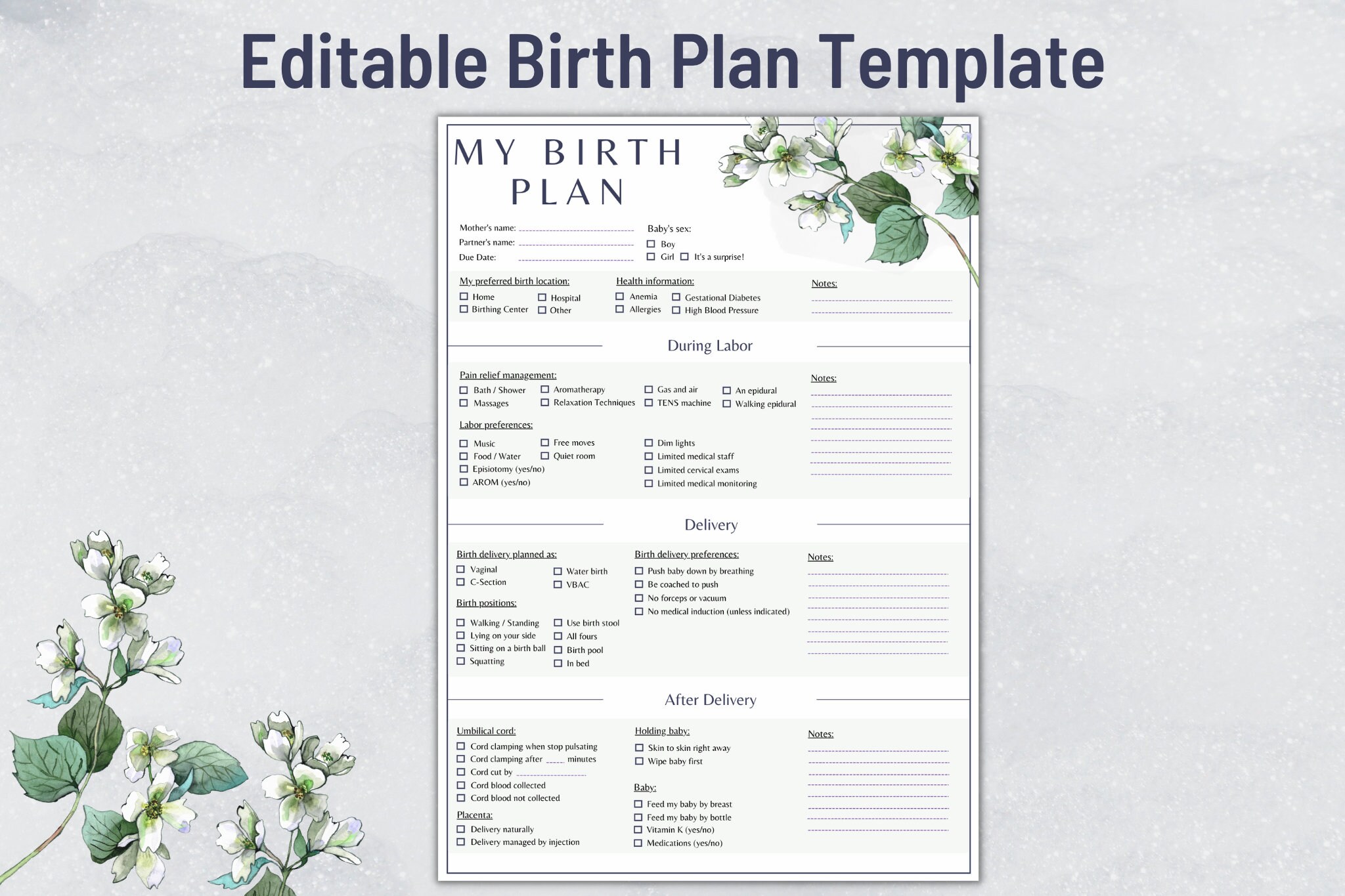 Birth Preferences Checklist Printable Editable Doula Birth Plan ...