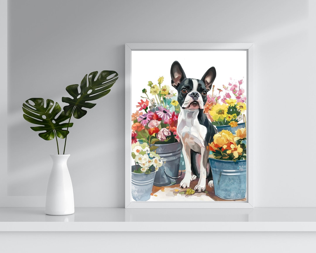 Boston Terrier Flower Market Art Print, Boston Terrier Gifts, Dog ...