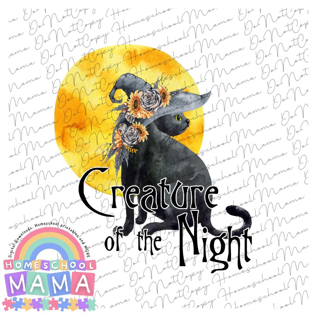 Creature of the Night Png, Witch Cat Ong, Black Cat Png, Witchy Png ...