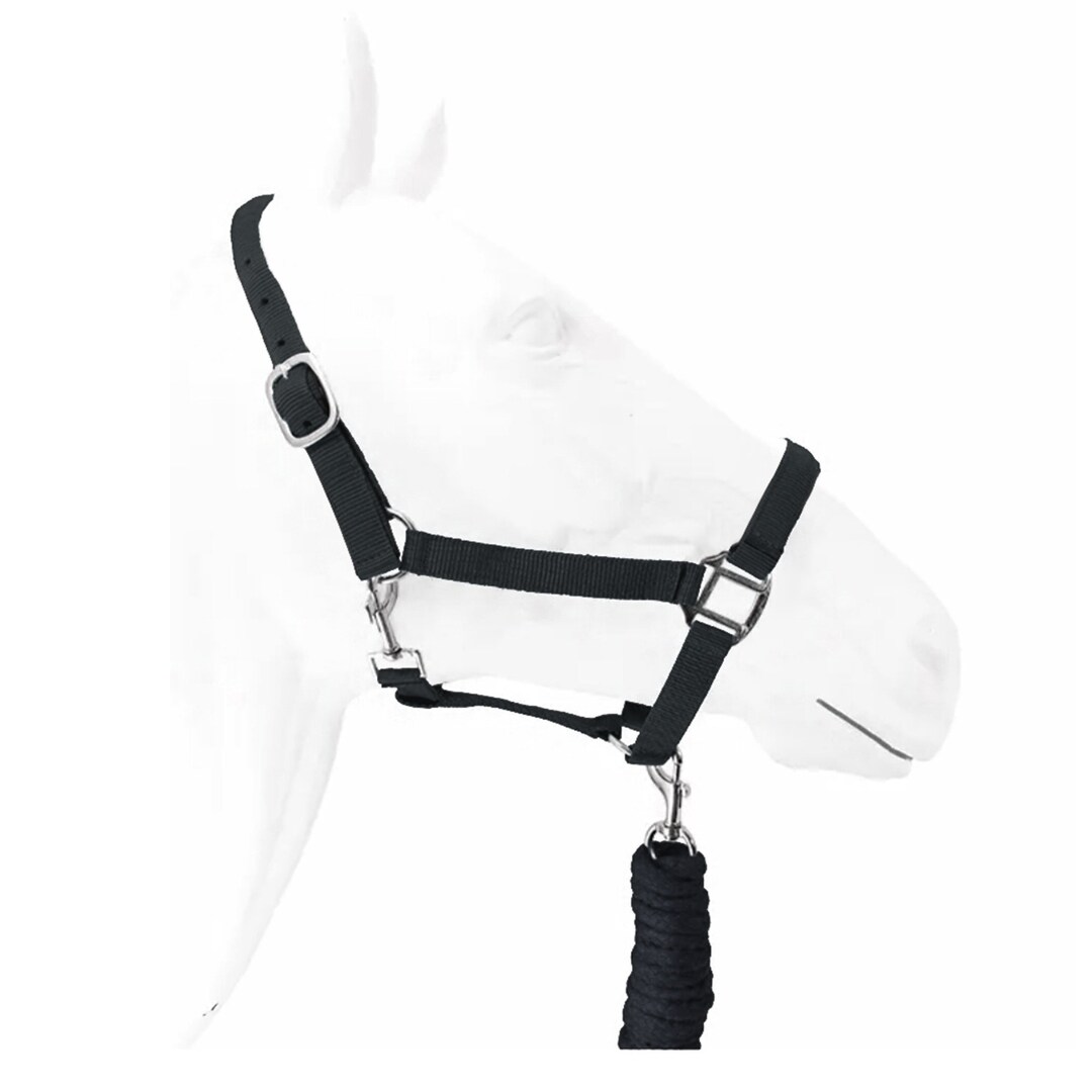 Royalian Equestrian Pony Nylon Halter With Lead - Comfort Protection ...