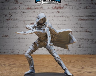 Female Assassin Delia the Swift Rogue RPG 3d Printed NPC Mini Fantasy ...