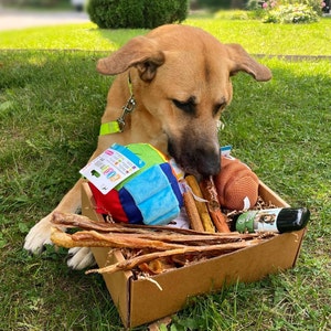 Dog Subscription Box - Etsy