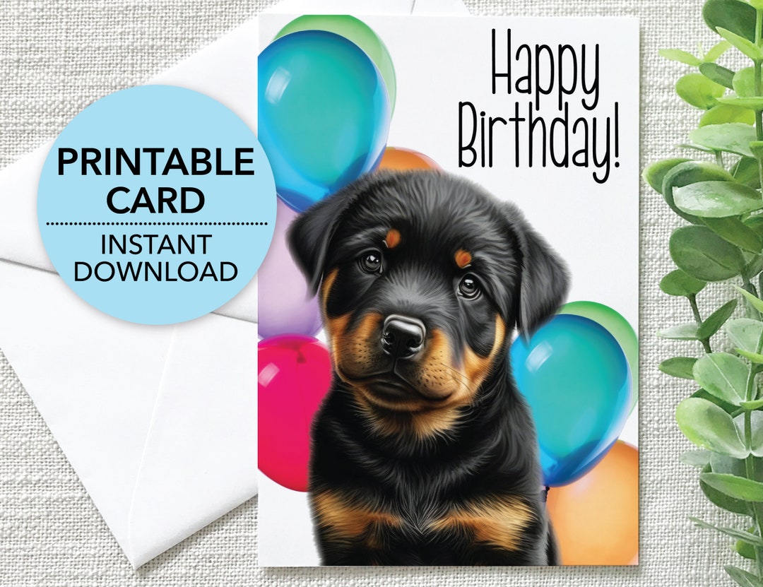 Rottweiler Birthday Card for a Dog Lover, Happy Birthday Greeting Card ...