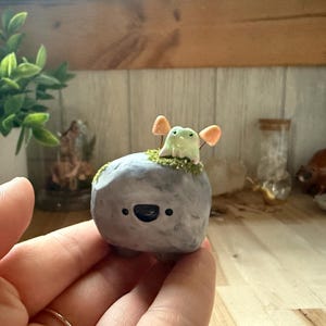Pet Rock Desk Buddy - Etsy