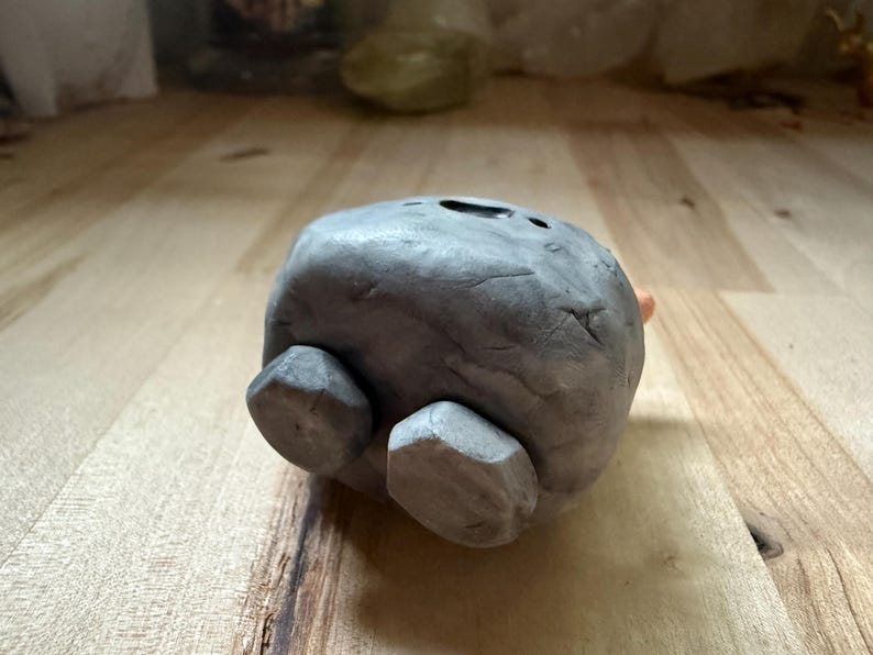 Pet Rock Desk Buddy - Etsy