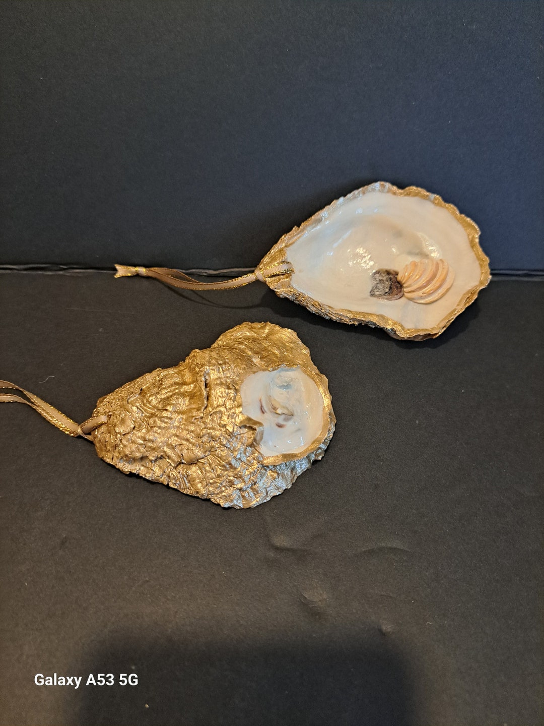 Pawleys Island Shell Ornament - Etsy