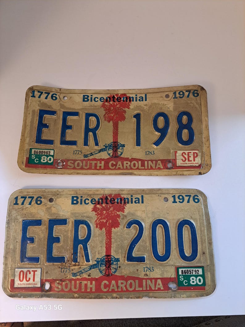 Vintage SC License Plate - Etsy