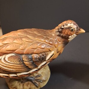 Ardco Quails - Etsy