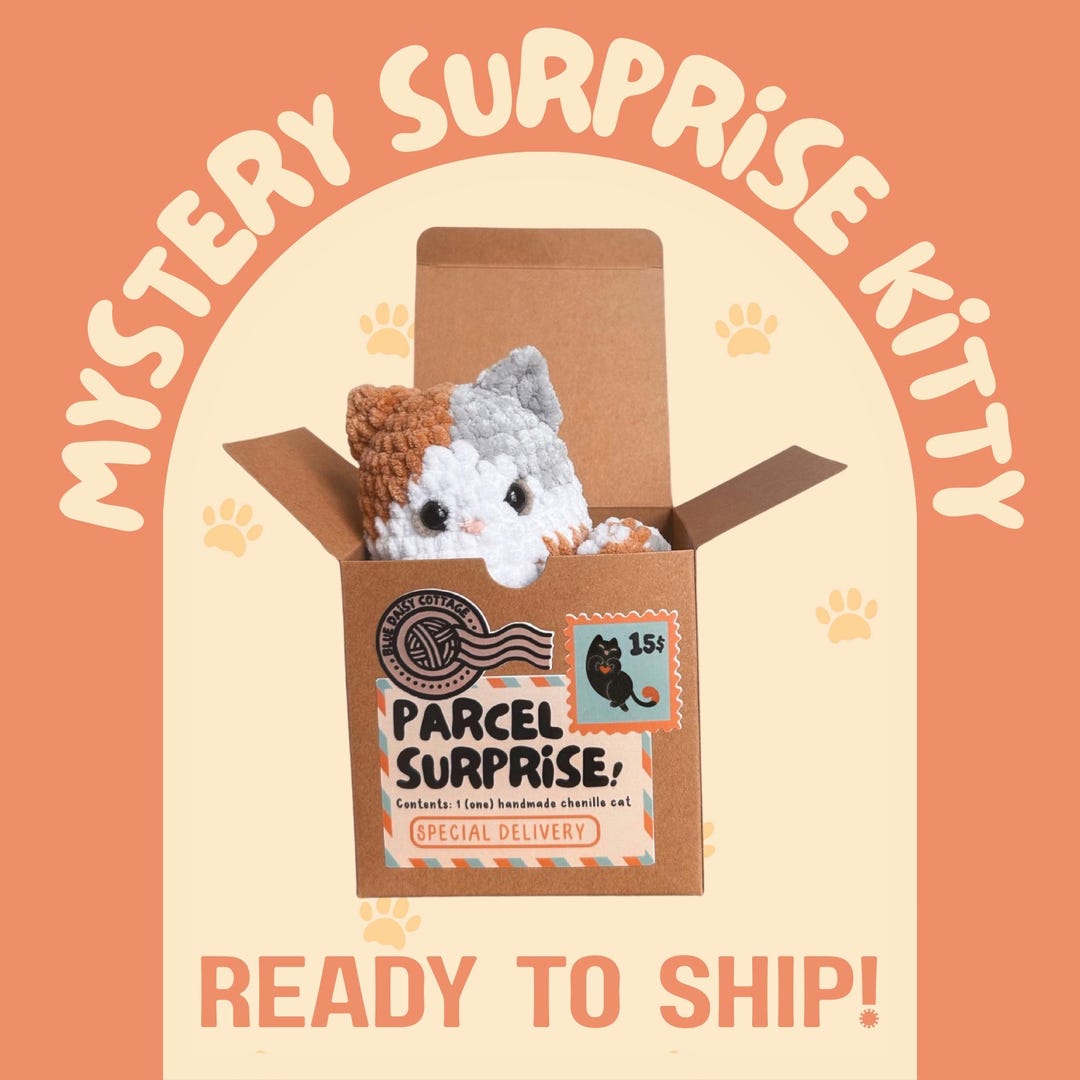 Mystery Cat Box Parcel Surprise - Etsy