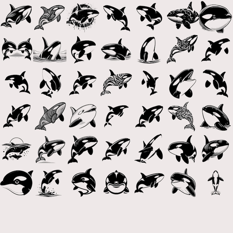 Orca Svg Bundle, Orca Whale Vector, Orca Whale Silhouette, Orca Whale ...