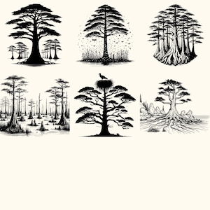 Bald Cypress Tree Svg Bundle, Bald Cypress Tree Vector Silhouette, Bald ...