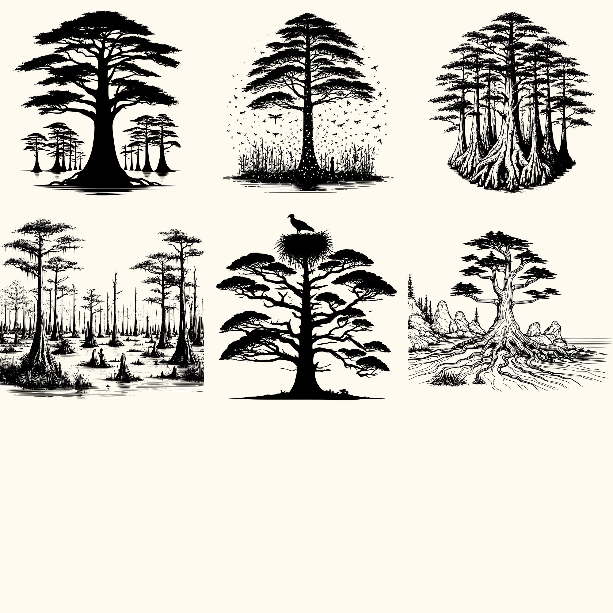 Bald Cypress Tree Svg Bundle, Bald Cypress Tree Vector Silhouette, Bald ...