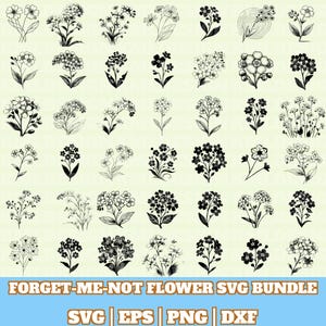 Forget-me-not Flower Svg Bundle, Forget-me-nots Vector, Flower ...
