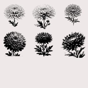 Aster Flower Svg Bundle, Aster Dandelion Vector, Aster Flower ...