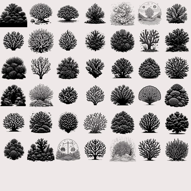 Coral Reefs Svg Bundle, Coral Reefs Vector, Coral Reefs Silhouette ...