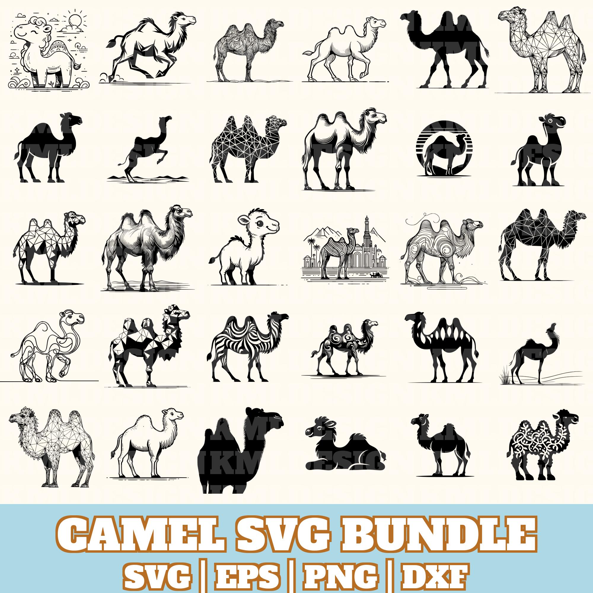 Camel Svg Bundle, Camel Vector Silhouette, Camel Svg PNG Eps Dxf ...