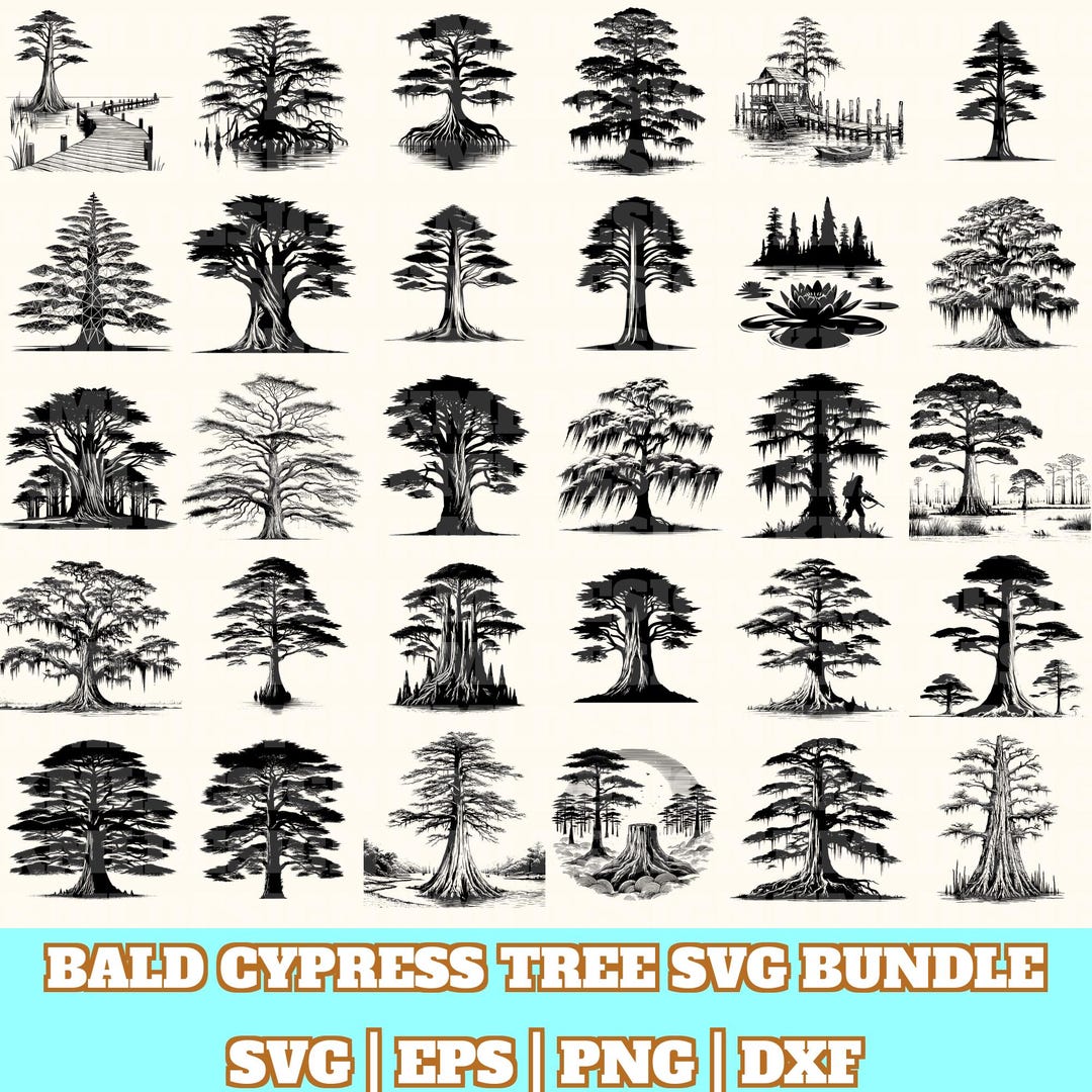 Bald Cypress Tree Svg Bundle, Bald Cypress Tree Vector Silhouette, Bald ...
