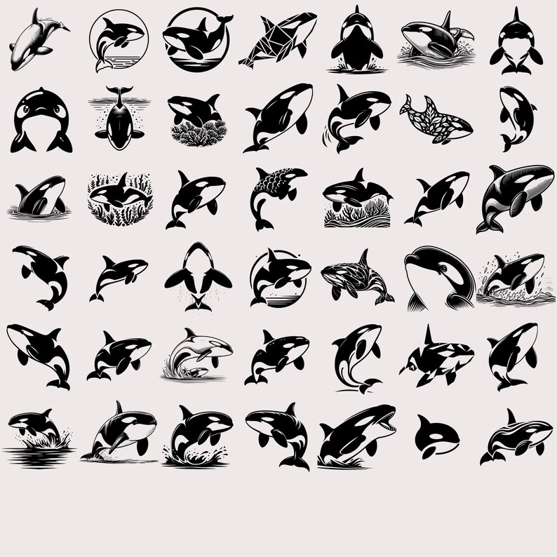 Orca Svg Bundle, Orca Whale Vector, Orca Whale Silhouette, Orca Whale ...