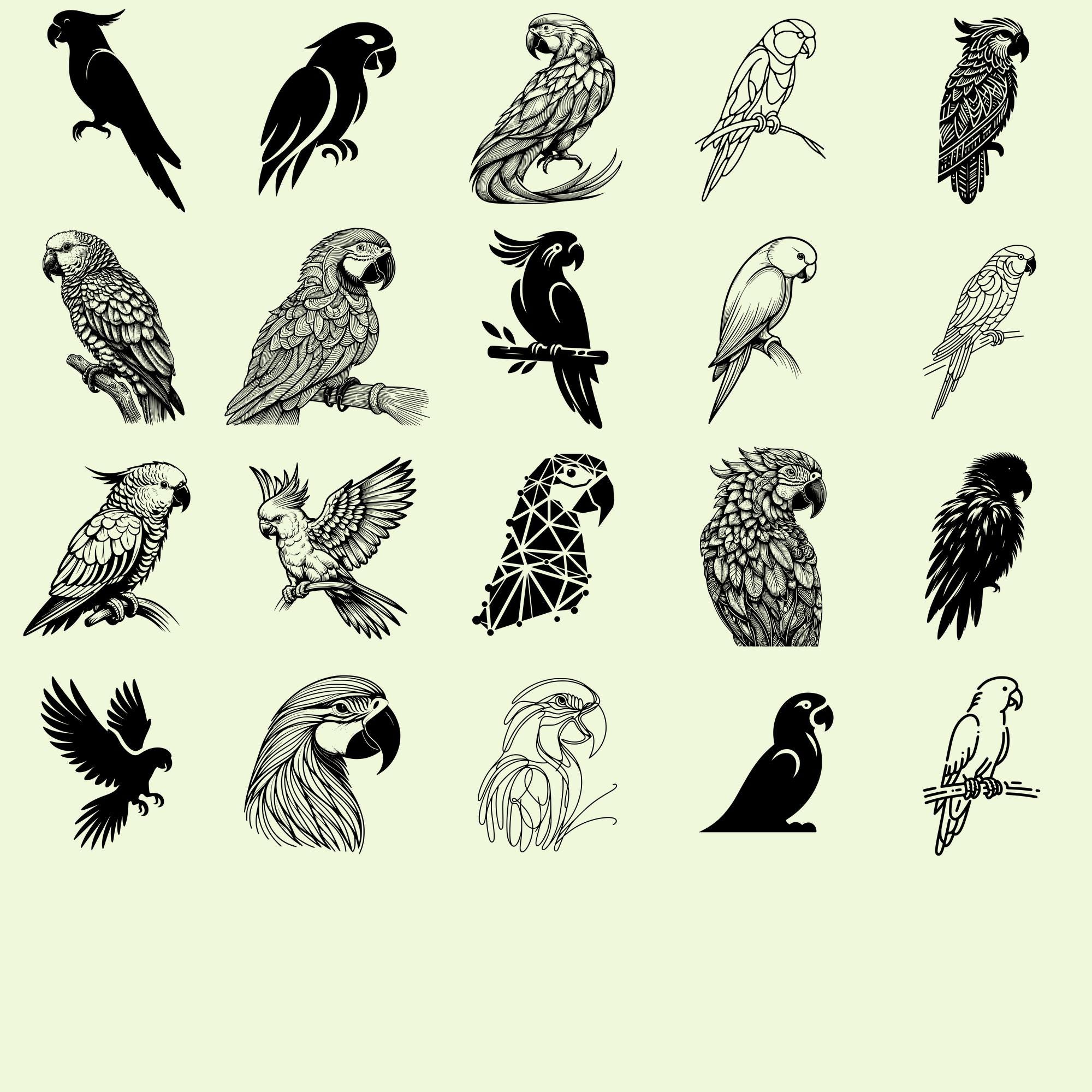 Parrot Svg Bundle, Parrot Vector, Parrot Silhouette, Parrot Svg PNG Eps ...