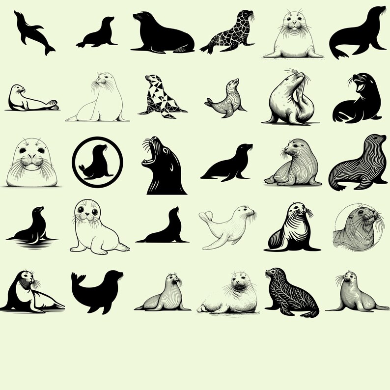Seal Svg Bundle, Seals Vector, Seal Silhouette, Seal Svg PNG Eps Dxf ...