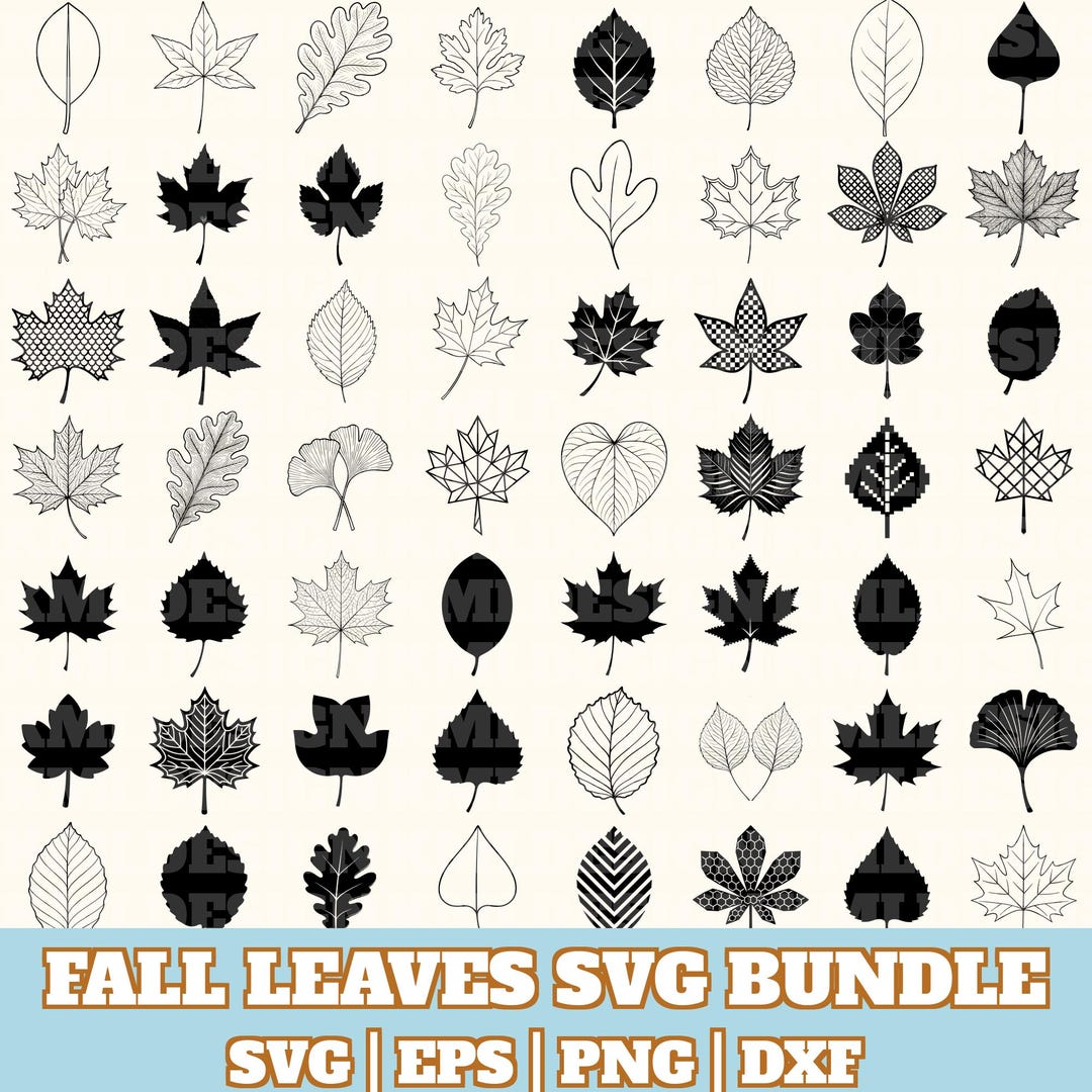 Fall Leaves Svg Bundle, Leaf Vector, Autumn Leaves Silhouette, Leaf ...