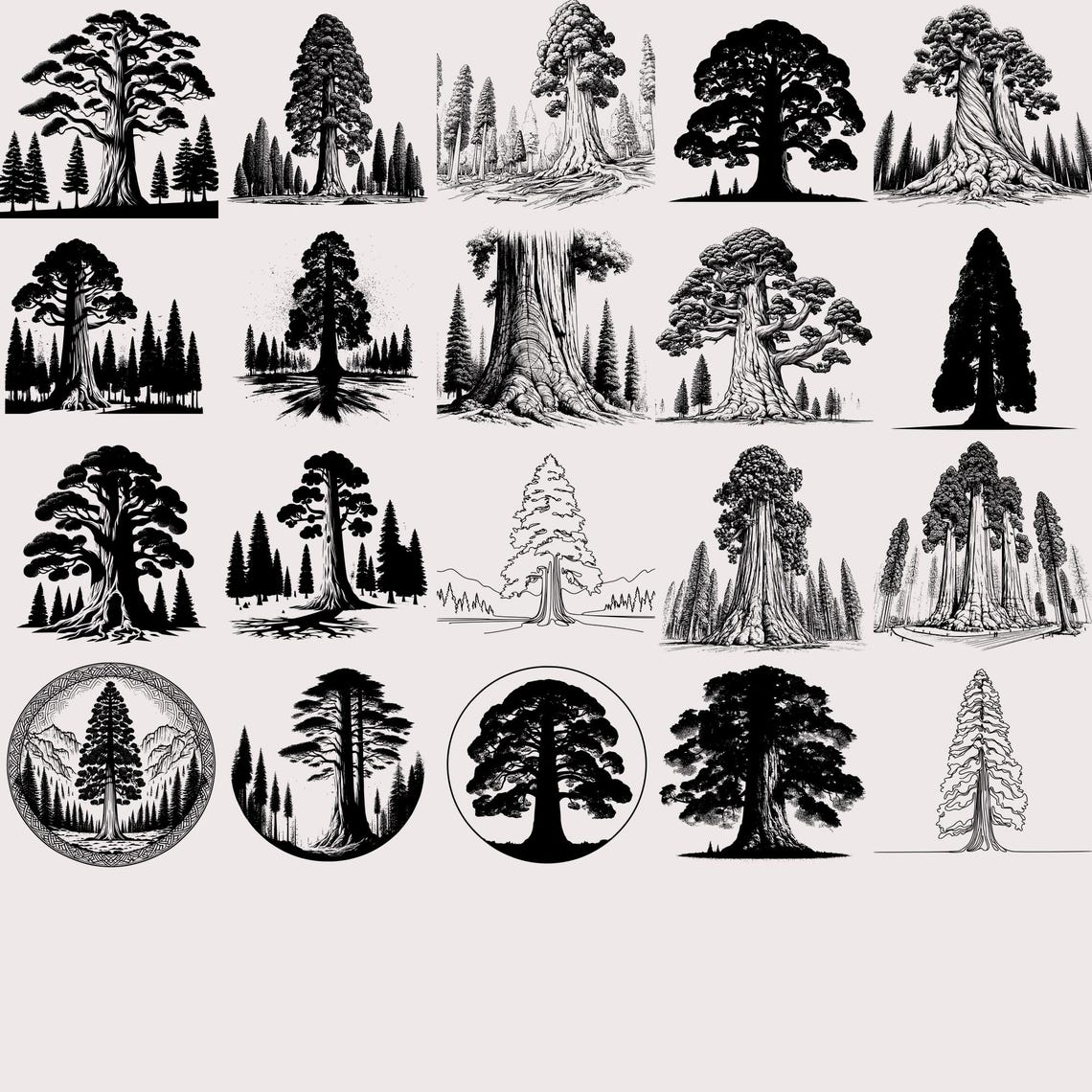 Sequoia Tree Svg Bundle, Giant Sequoia Tree Vector, Sequoia Tree ...