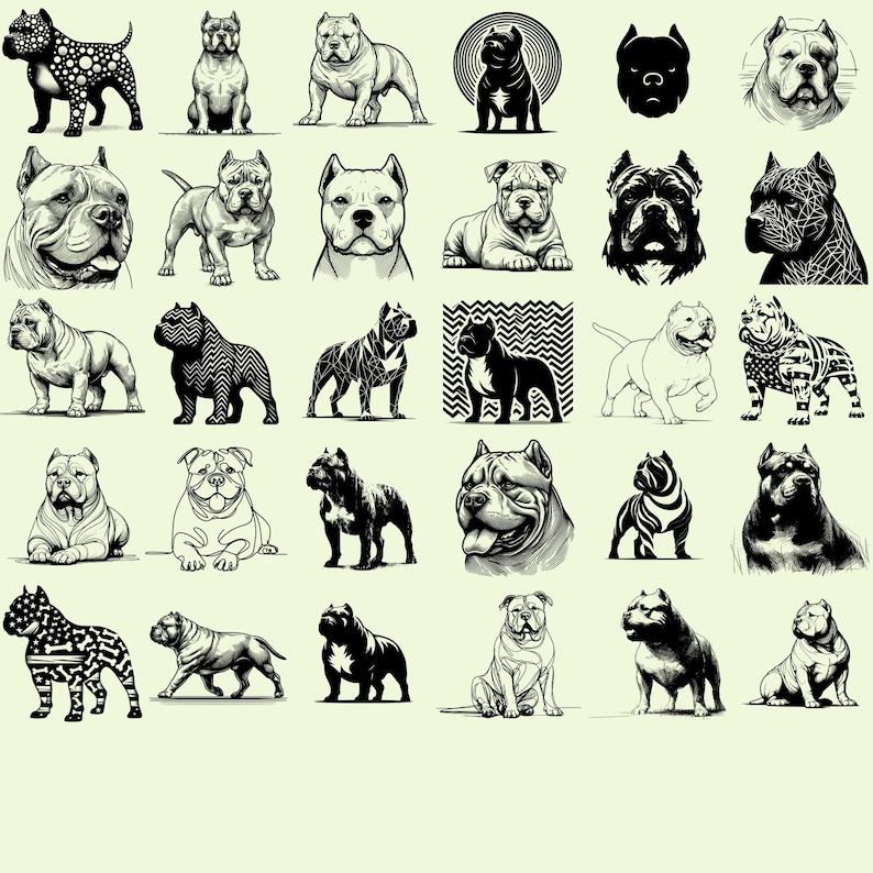 American Bully Svg Bundle, American Bully Puppy Vector, the American ...