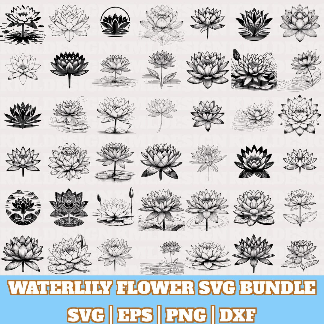 Waterlily Flower Svg Bundle, Waterlily Flower Vector, Waterlily Flower ...