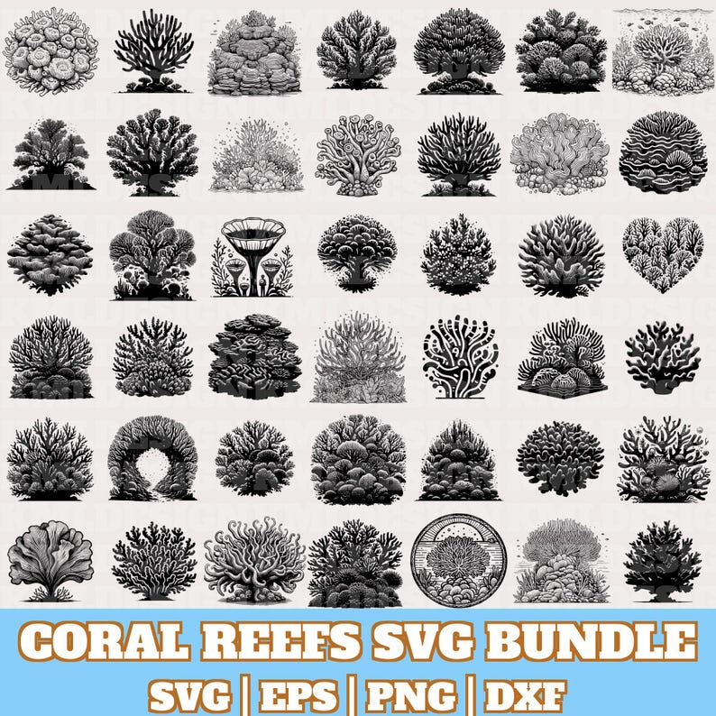 Coral Reefs Svg Bundle, Coral Reefs Vector, Coral Reefs Silhouette ...