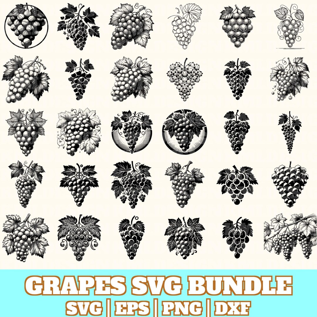 Grapes Svg Bundle, Grapes Vector, Grapes Silhouette, Grapes Svg PNG Eps ...