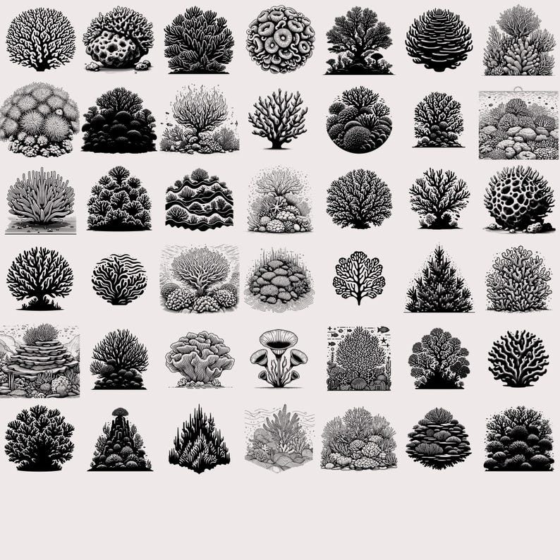 Coral Reefs Svg Bundle, Coral Reefs Vector, Coral Reefs Silhouette ...
